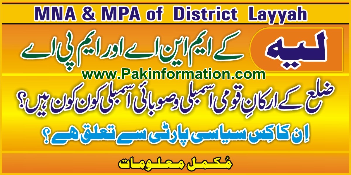 MNA MPA of Layyah Election 2024